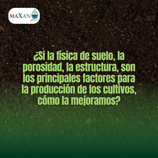 Información - Maxan