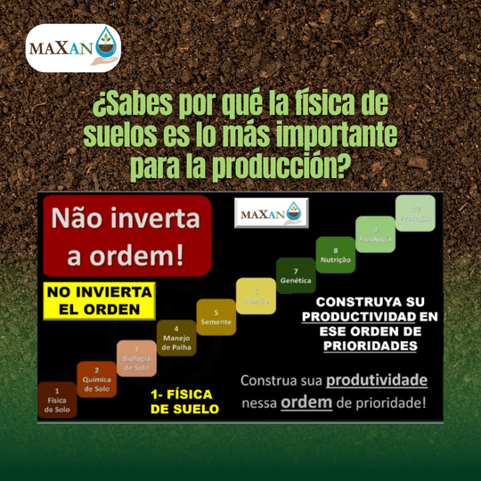 Información - Maxan