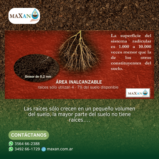Información - Maxan