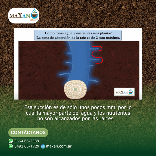 Información - Maxan