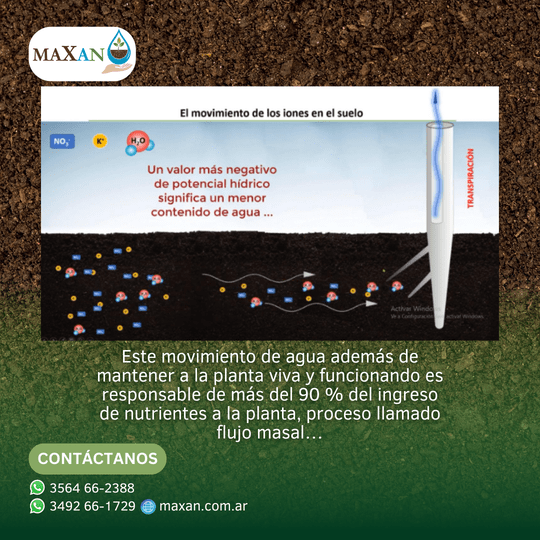 Información - Maxan