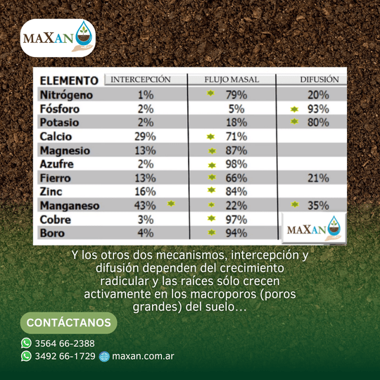 Información - Maxan