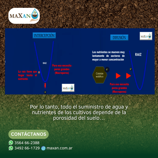Información - Maxan