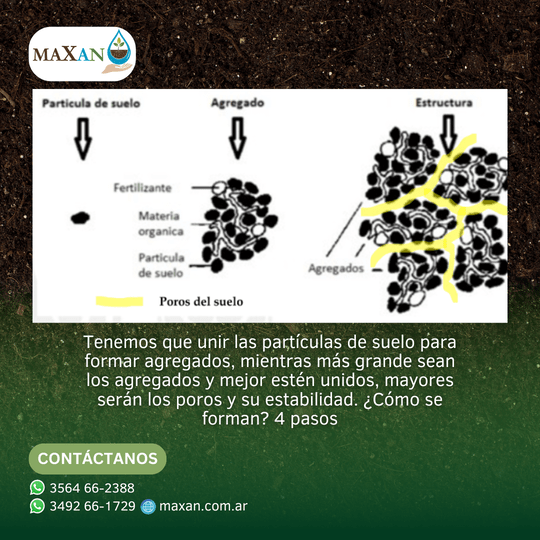 Información - Maxan